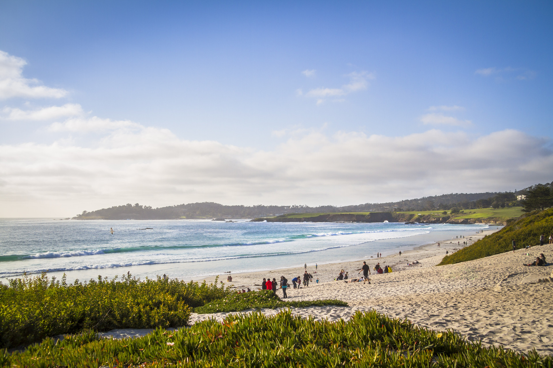 Brian Pybas - Professional Competitor - Carmel and Pebble Beach Real Estate